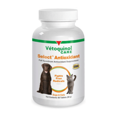 Nutri-Cal Suplemento energético para perros y gatos - Mascotify Pet Shop