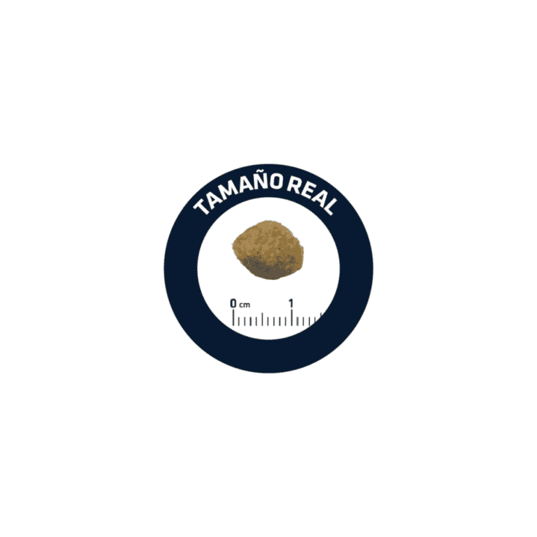 Advance Urinary - Cuidado urinario - Mascotify Pet Shop