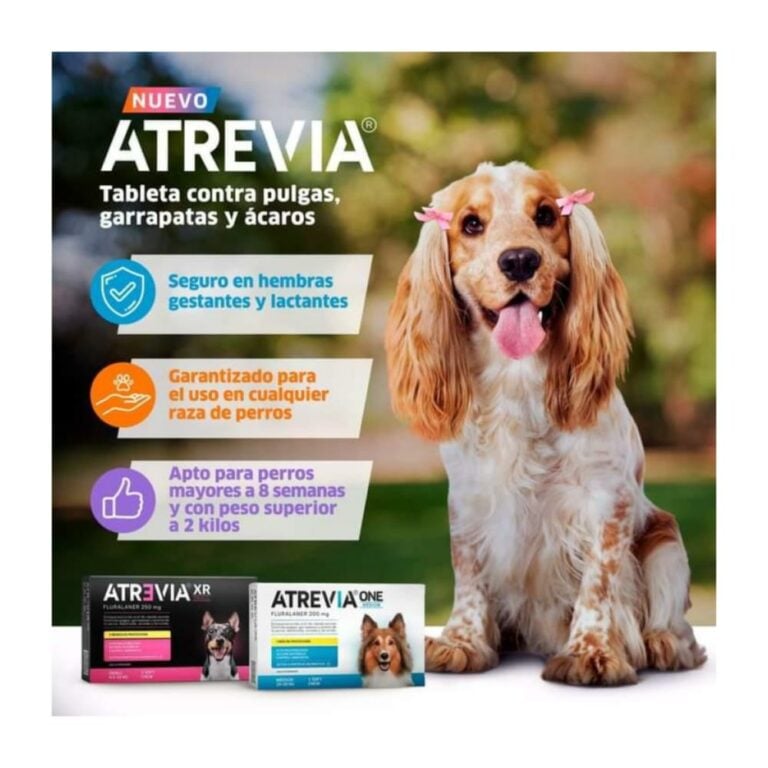 ATREVIA ONE Medium 200mg - Perros de 10 a 20kg - Mascotify Pet Shop