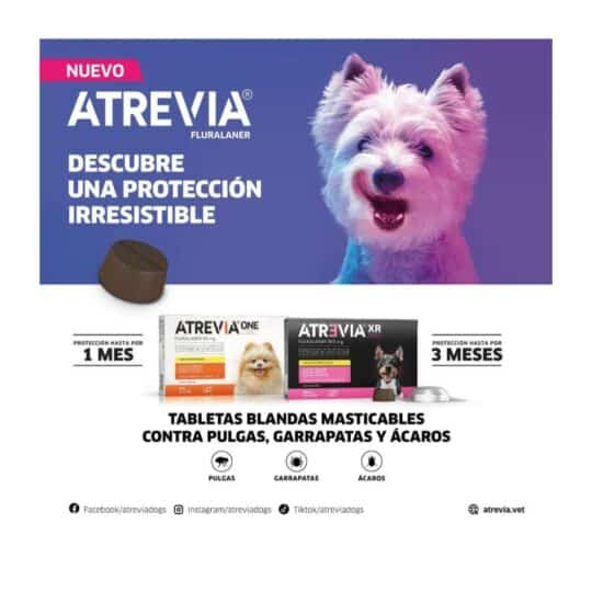 ATREVIA ONE Small 100mg - Perros de 4.5 a 10kg - Mascotify Pet Shop
