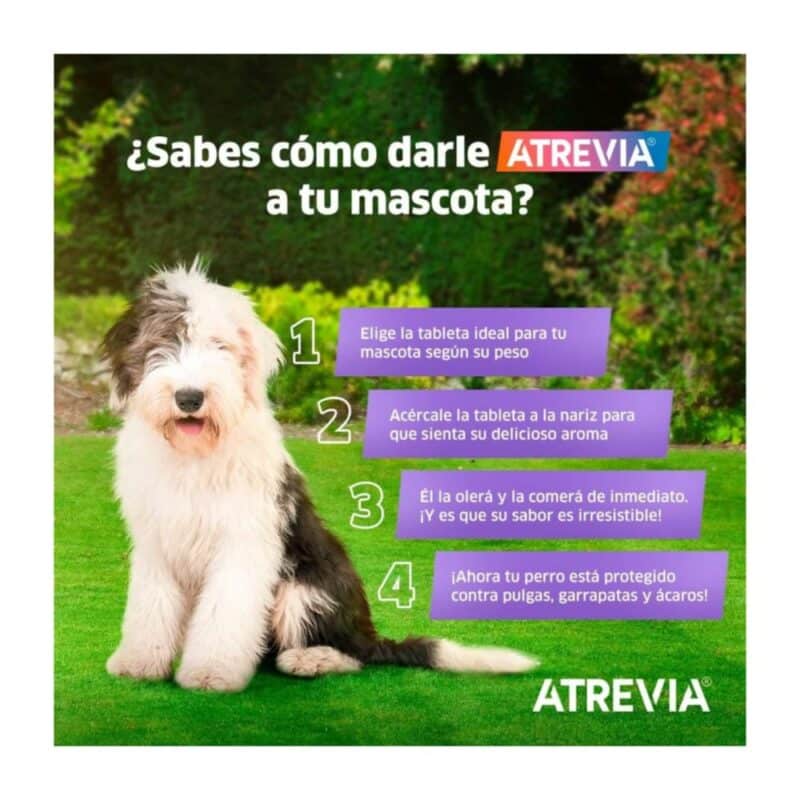 ATREVIA XR Medium 500mg - Perros de 10 a 20kg - Mascotify Pet Shop