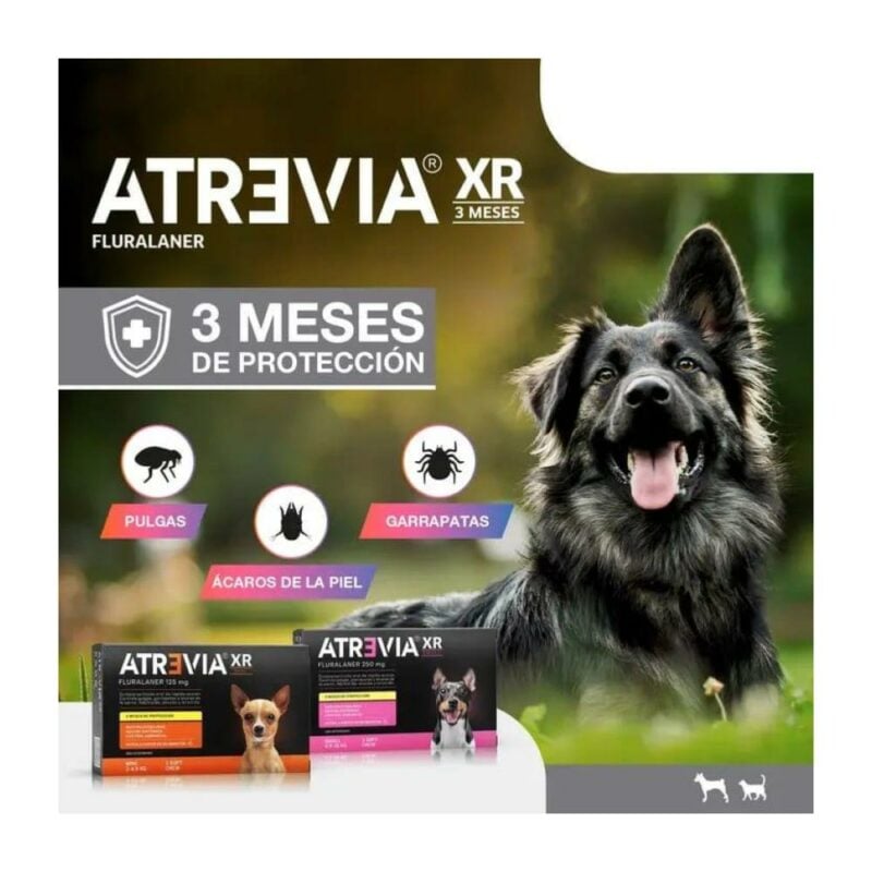 ATREVIA XR Large 1000mg - Perros de 20 a 40kg - Mascotify Pet Shop