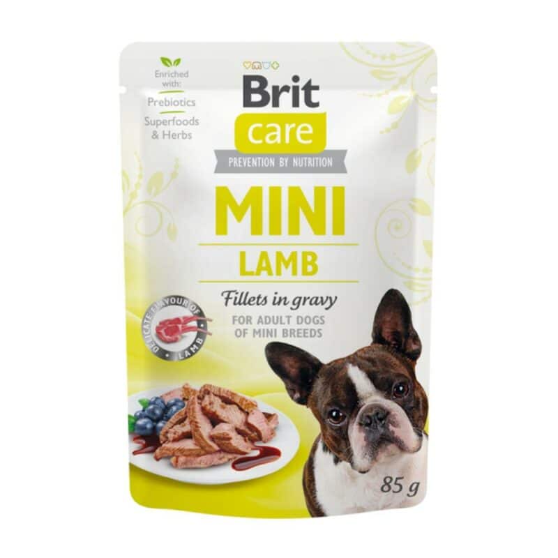 Brit - Mascotify Pet Shop