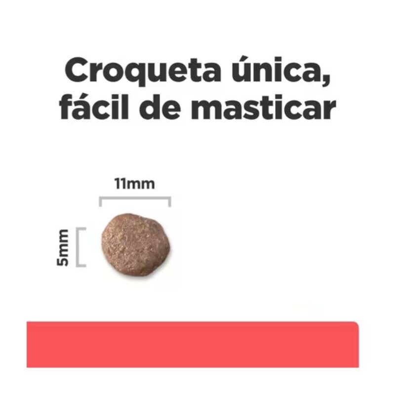 Hills PD Onc Care - Alimento seco para perros - Mascotify Pet Shop