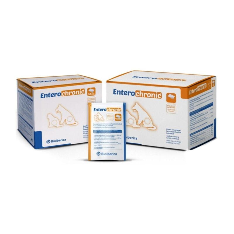 Entero Chronic sobre 4gr - Suplemento para Perros y Gatos - Mascotify ...