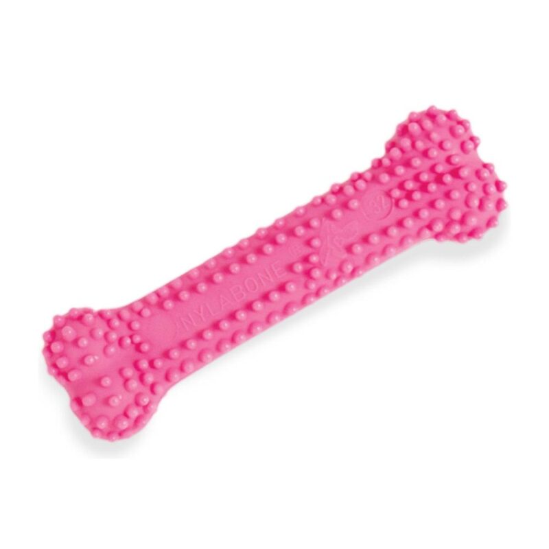 Nylabone Juguete Dental para Cachorro Pink Bone Petite - Mascotify Pet Shop