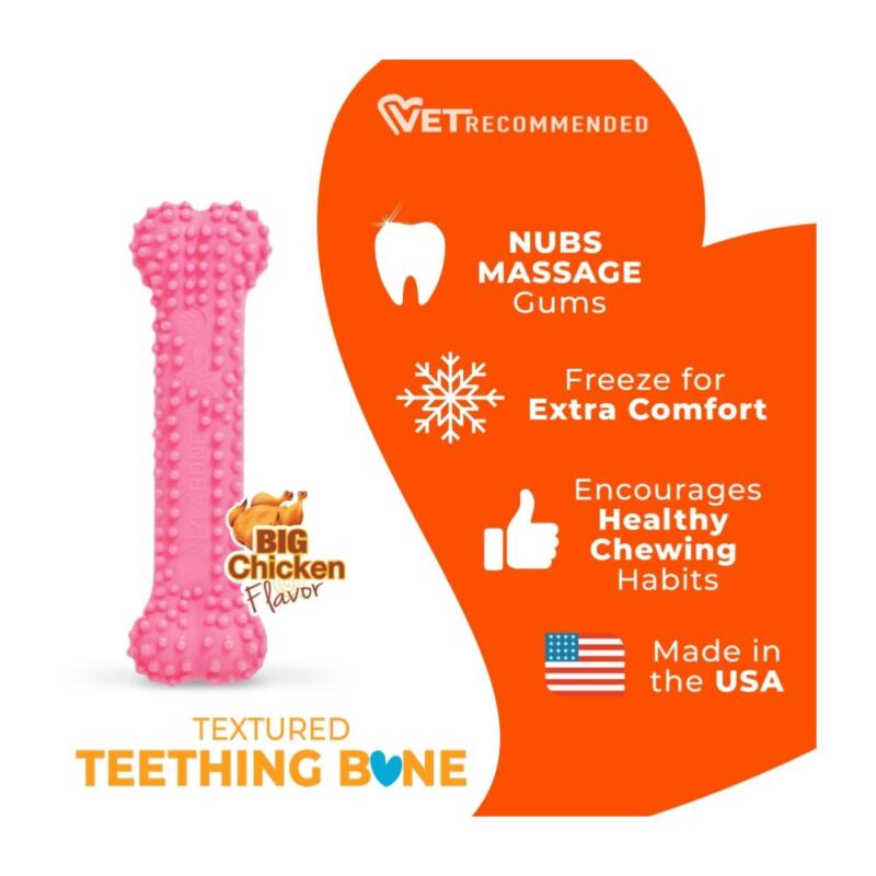 Nylabone Juguete Dental para Cachorro Pink Bone Petite - Mascotify Pet Shop