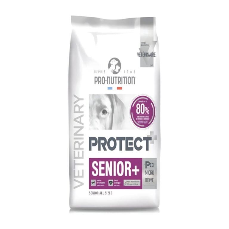 Protect+ Senior 2kg - Alimento seco para perros senior - Mascotify Pet Shop